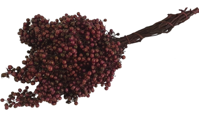 Schinus (Pepperberry) Dried Per Bunch Burgundy | Holex Flower